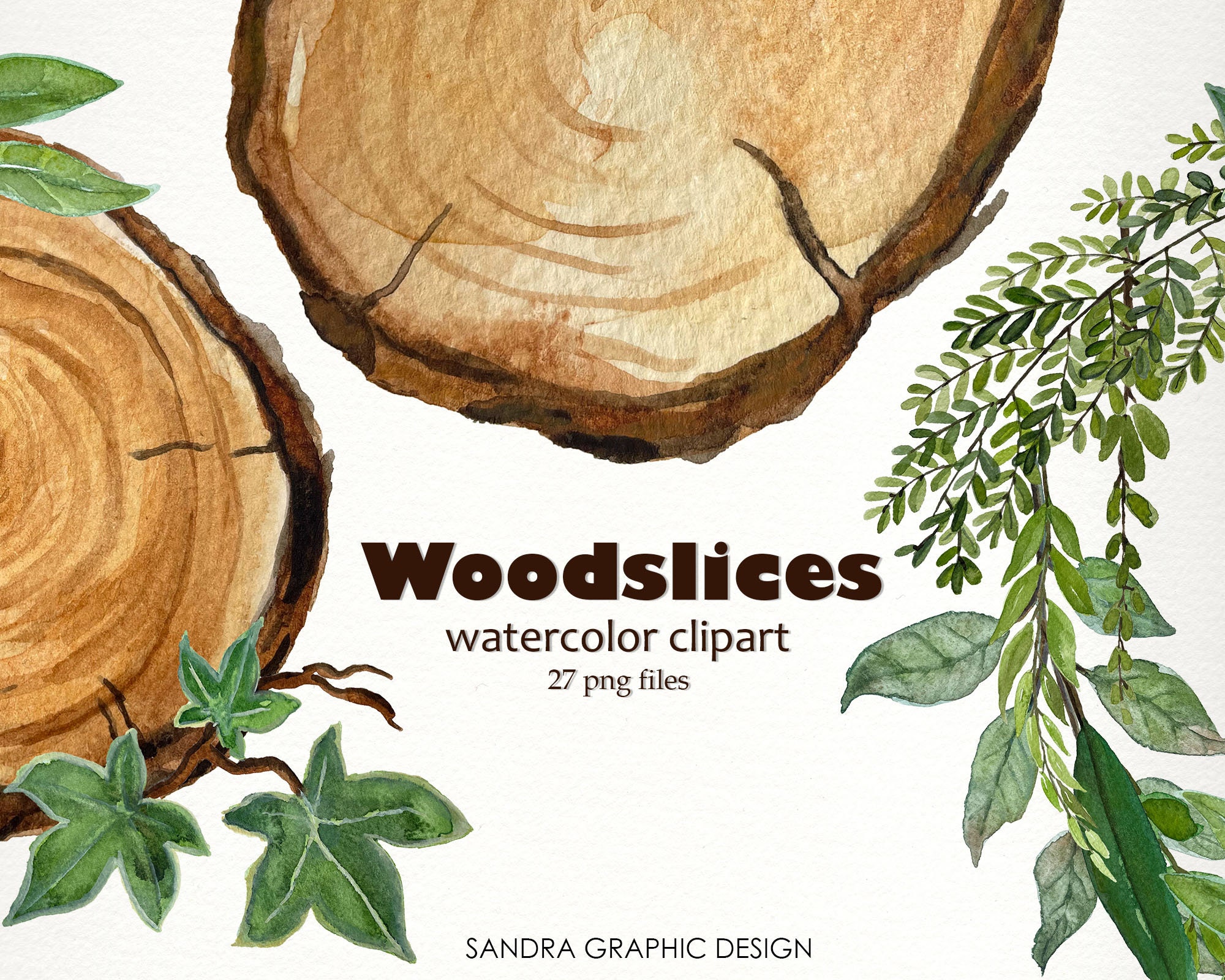Watercolor Woodslices Clipart Handpainted clip art Tree | Etsy