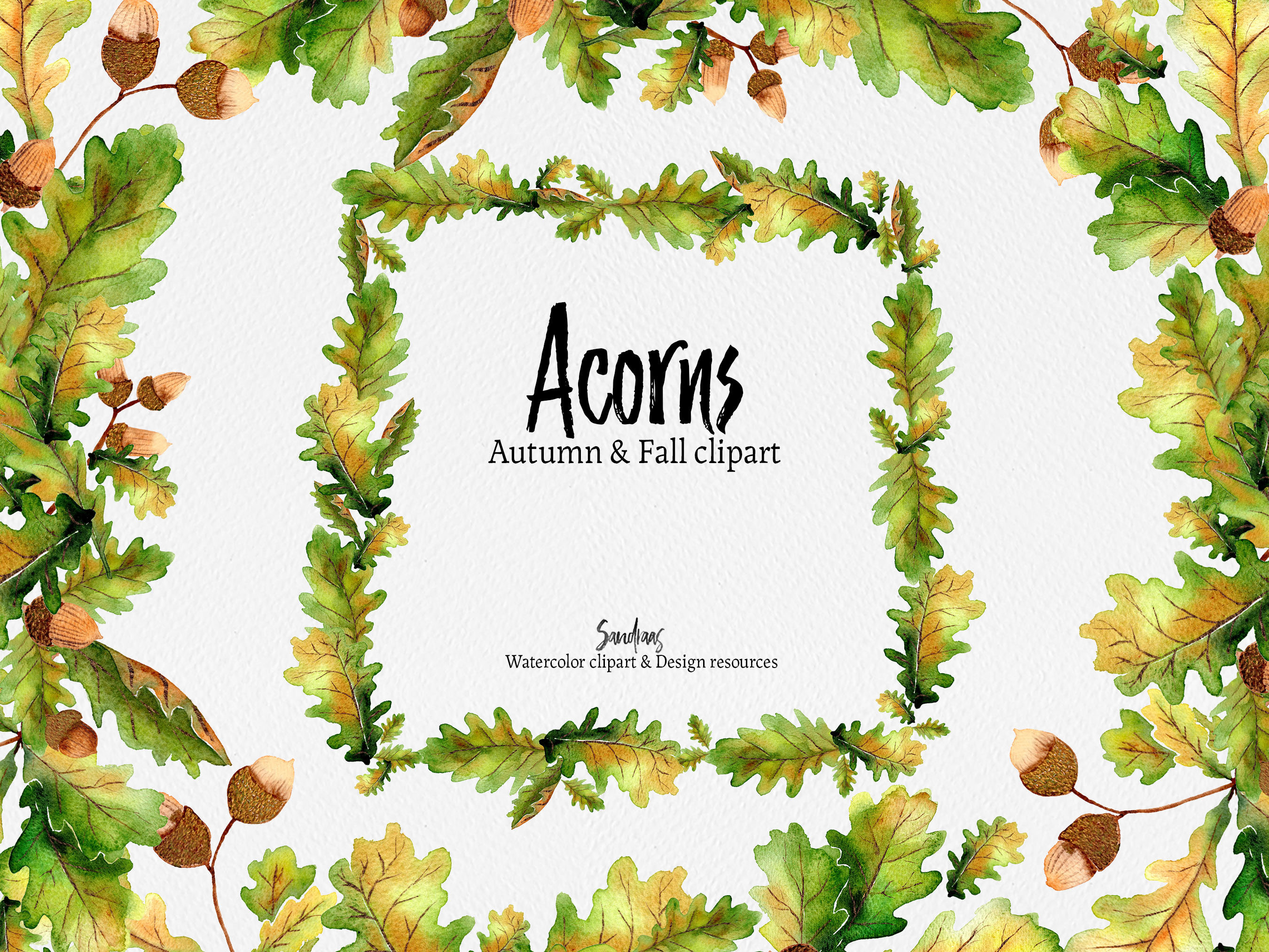 Acorn Border Clip Art