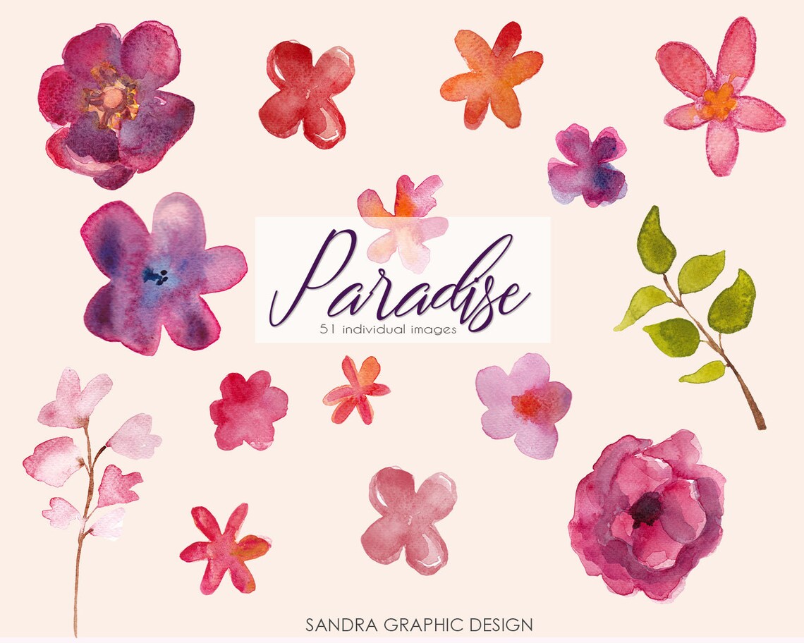 Floral Clip Art Hand Painted Watercolor Clip Art Digital | Etsy