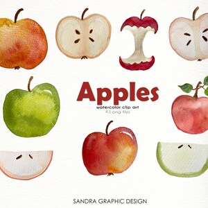 Clipart: "apples" Hand Painted Watercolor Apples, Autumn Themed, 43 ...