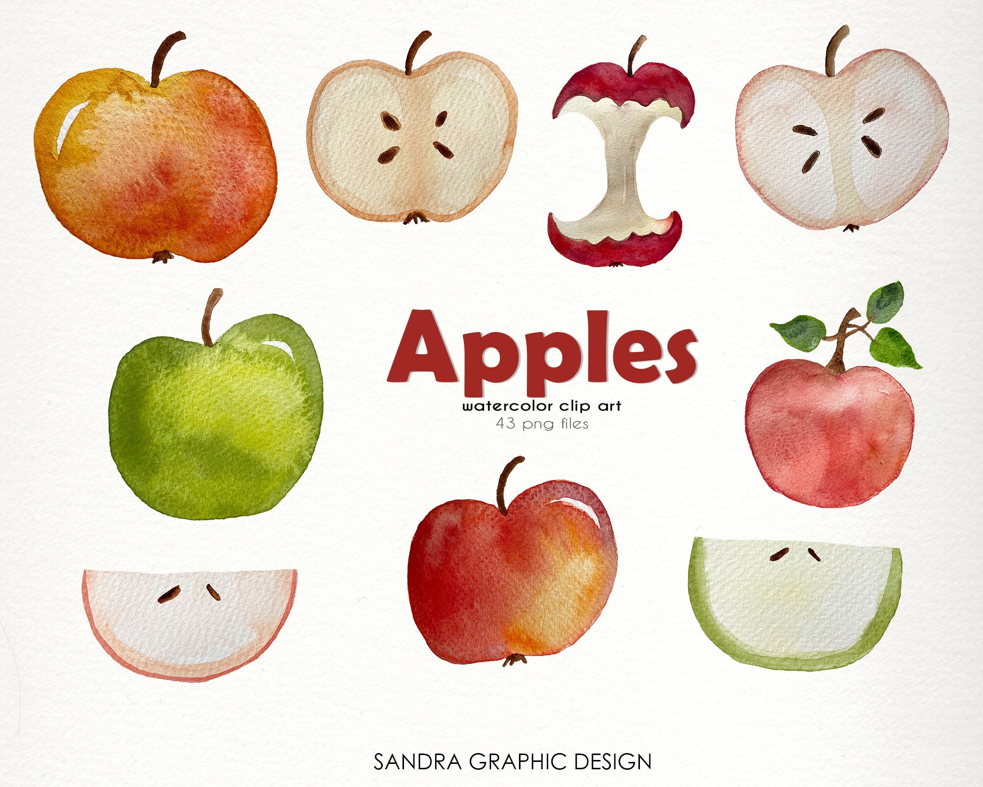 Clipart: apples Hand Painted Watercolor Apples - Etsy