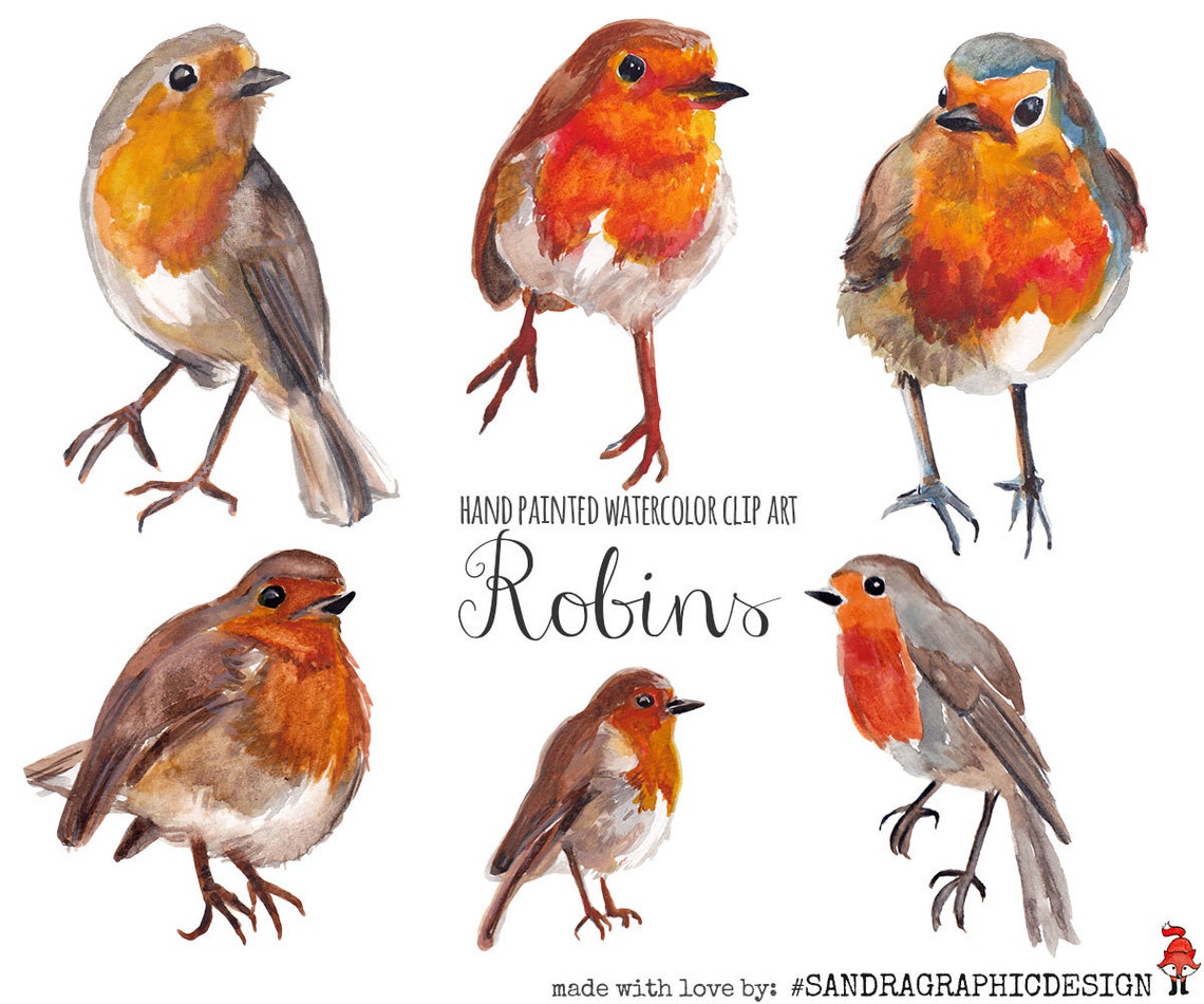 Robin Clip Art, Watercolor Robins Painted by Hand, Birds Clip Art, 6 ...