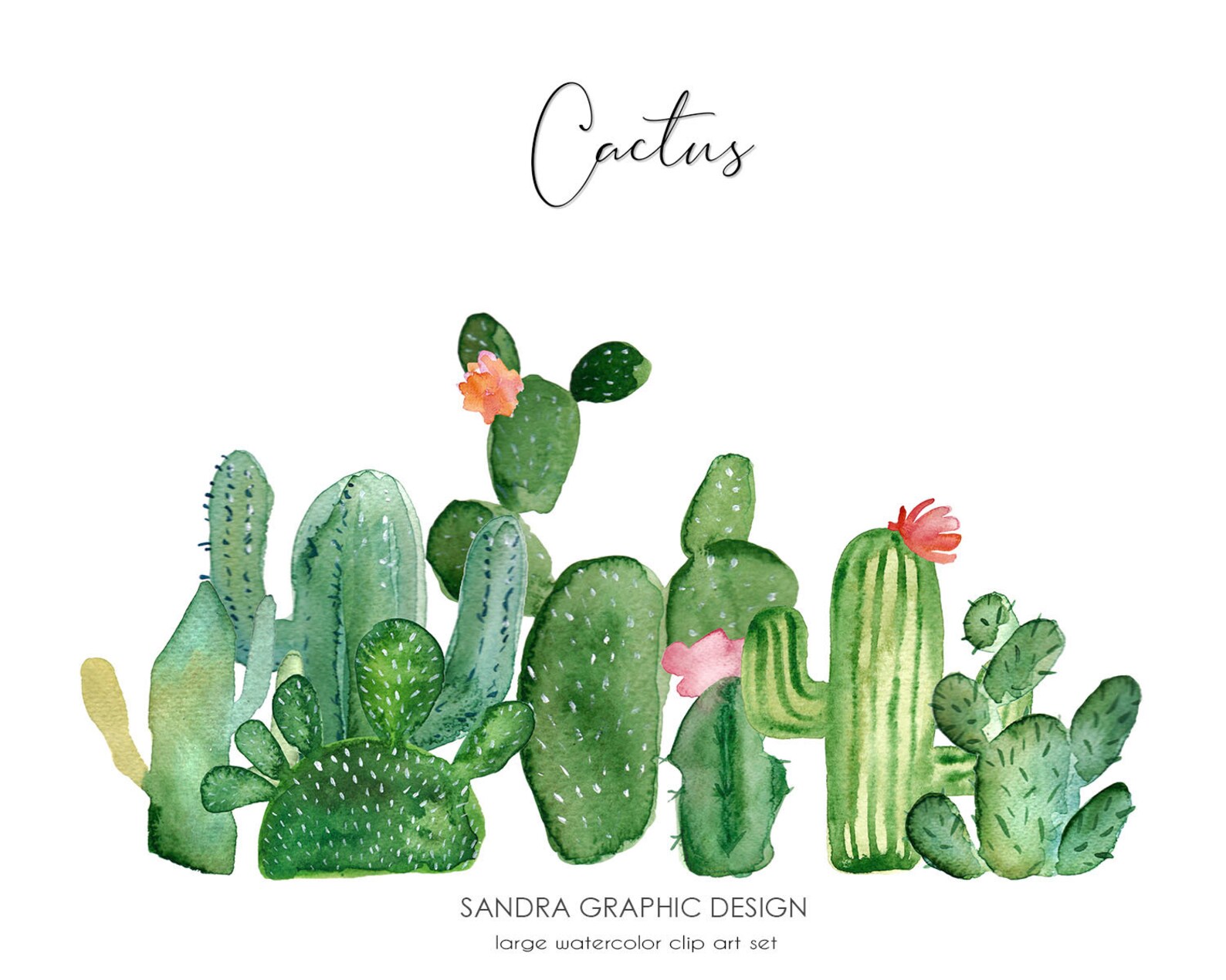 Cactus Watercolor Clip Art | Etsy