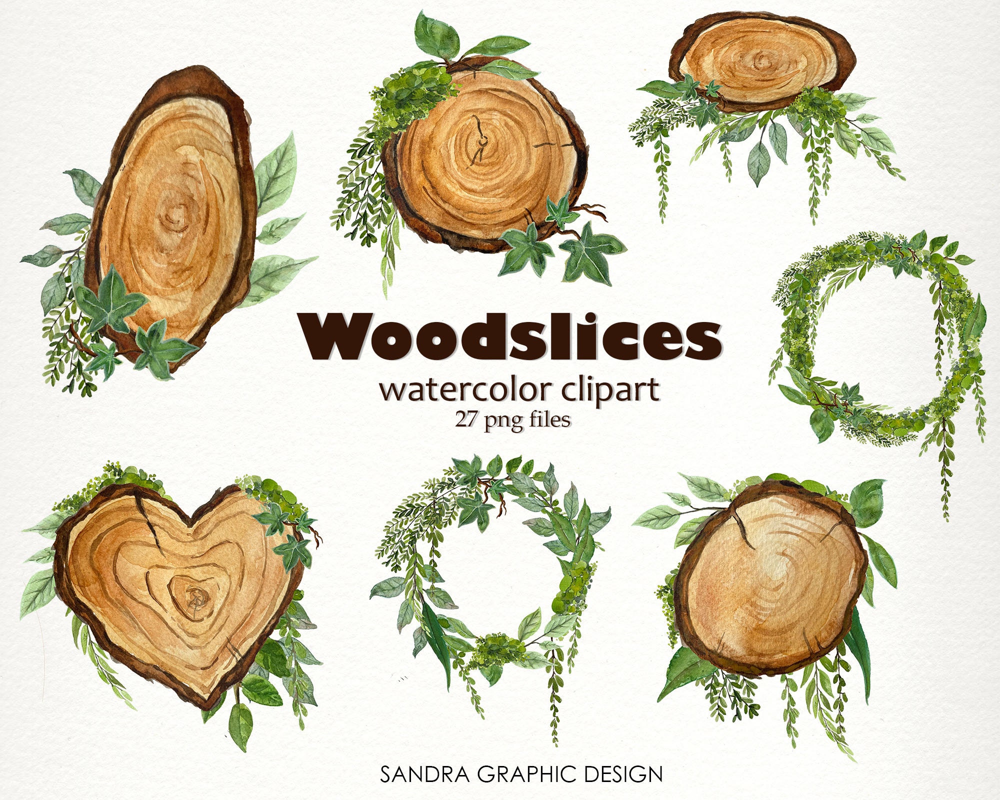 Watercolor Woodslices Clipart- Handpainted Clip Art - Tree Slices ...