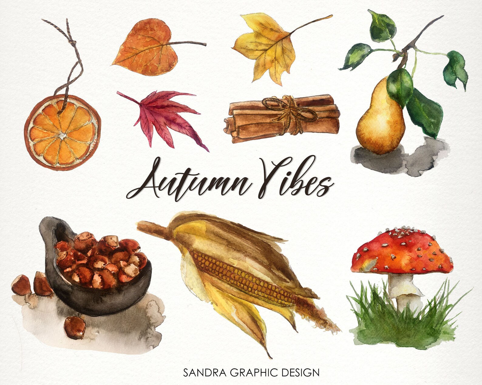 Clipart: autumn Vibes Hand Painted Watercolor Fall | Etsy