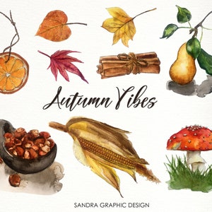 Clipart: "autumn Vibes" Hand Painted Watercolor Fall Images, 25 Clipart ...