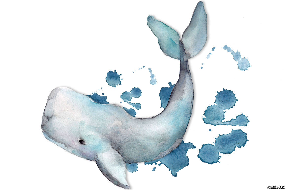 Whale Clip Art Watercolor Whales Painted by Hand Ocean Clip - Etsy Canada