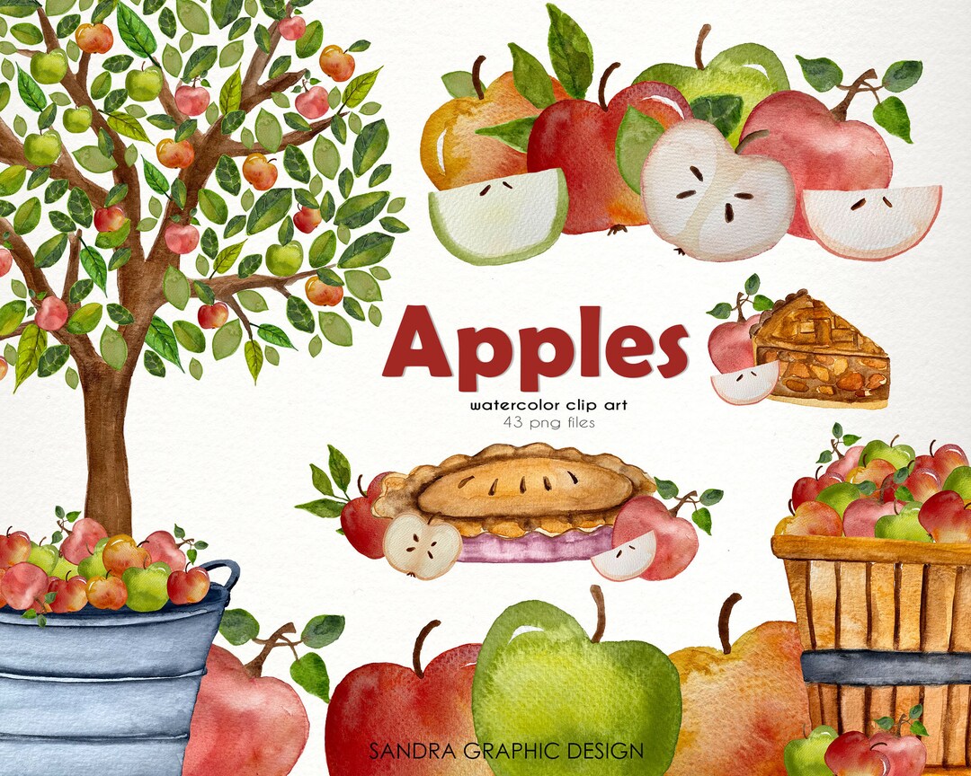 Clipart: "apples" Hand Painted Watercolor Apples, Autumn Themed, 43 ...