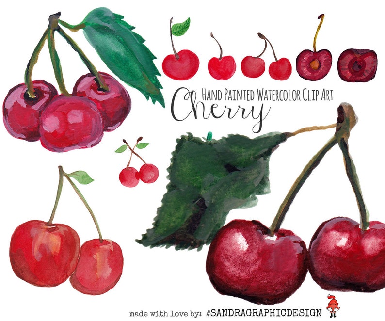 Cherry Clip Art With Hand Painted Watercolor Cherries, Delicious Fruit ...