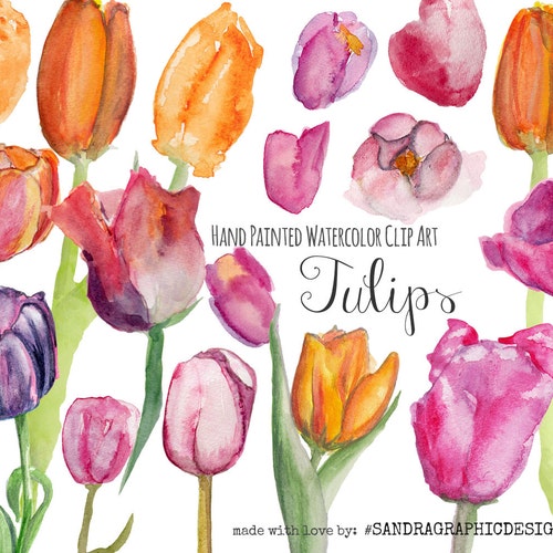 Spring Flowers Clipart Watercolor Clip Art Watercolour Clip | Etsy