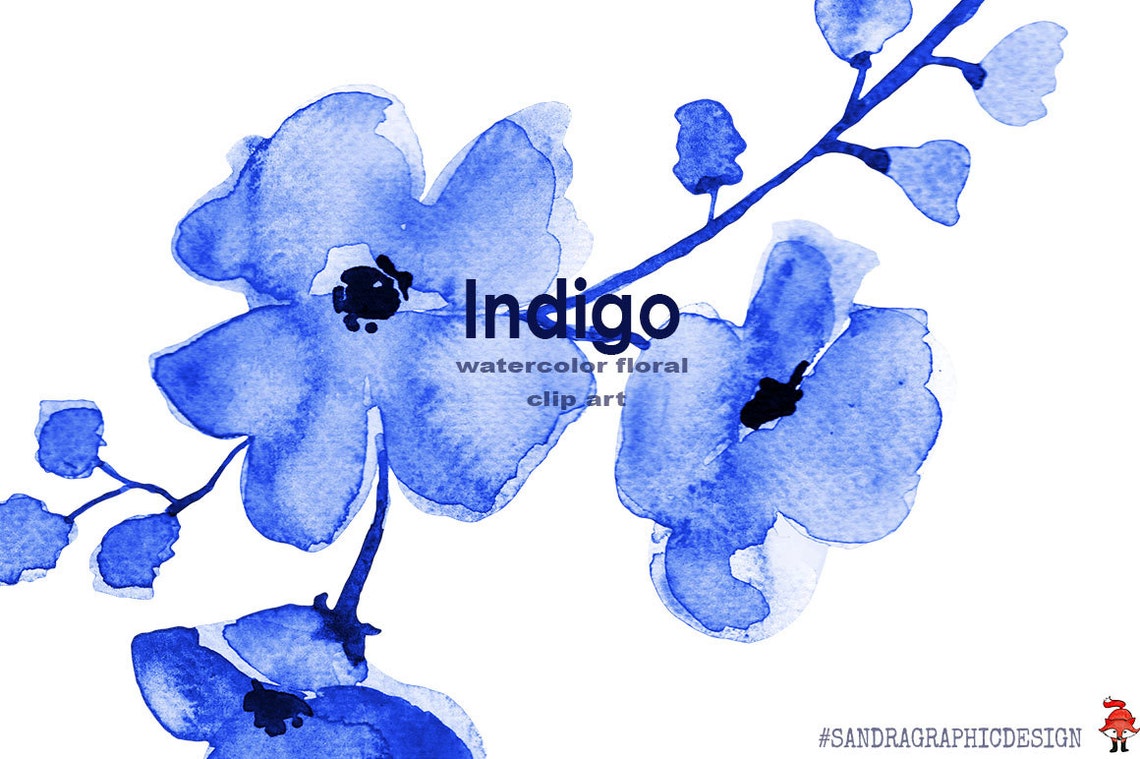 Indigo Flowers Clip Art Hand Painted Floral Watercolor Clip | Etsy
