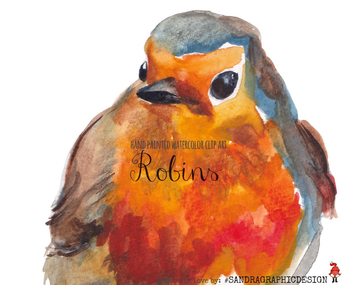 Robin clip art watercolor robins painted by hand birds clip | Etsy