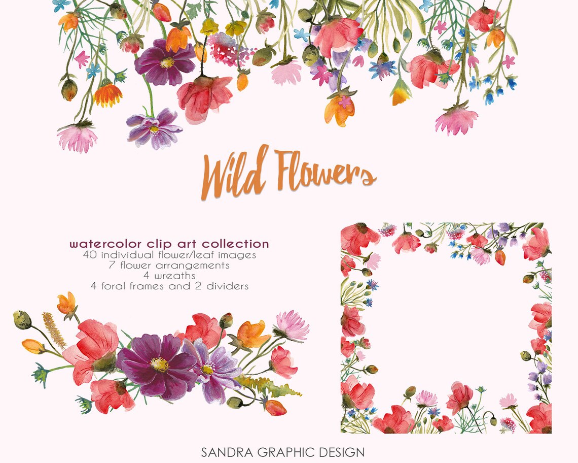 Wild Flowers Clip Art Hand Painted Watercolor Clip Art - Etsy