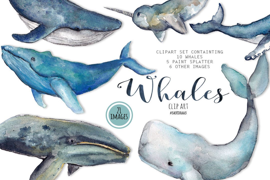 Whale Clip Art, Watercolor Whales Painted by Hand, Ocean Clip Art, 21 ...