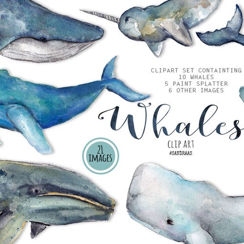 Whale Clip Art Watercolor Whales Painted by Hand Ocean Clip - Etsy