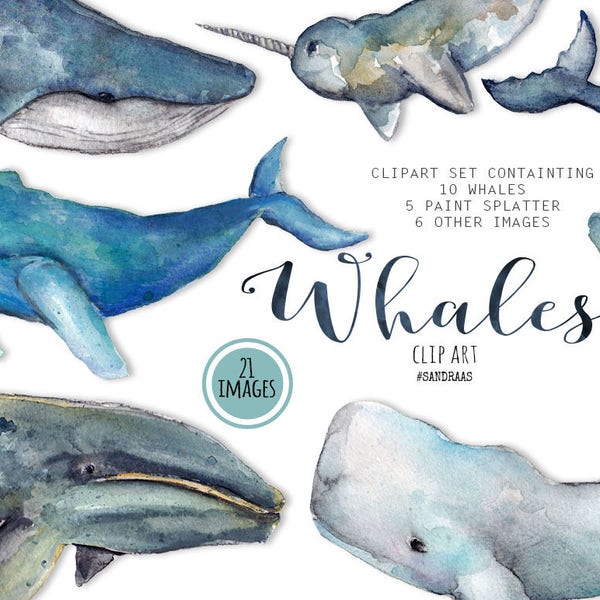 Whale Clip Art - Etsy UK