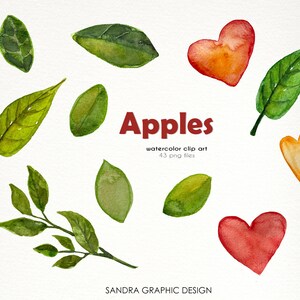 Clipart: "apples" Hand Painted Watercolor Apples, Autumn Themed, 43 ...