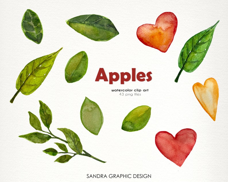 Clipart: "apples" Hand Painted Watercolor Apples, Autumn Themed, 43 ...