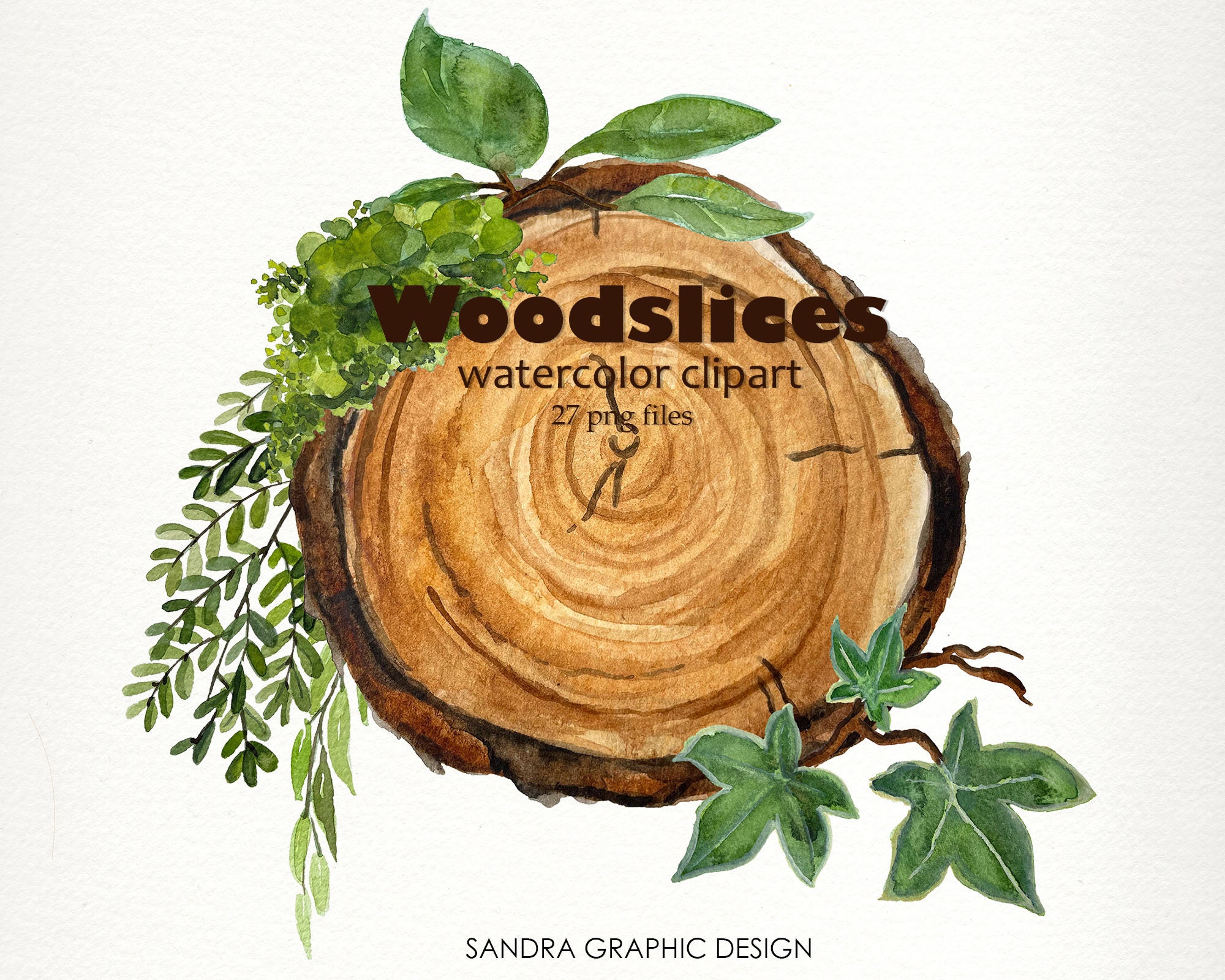Watercolor Woodslices Clipart Handpainted Clip Art Tree - Etsy