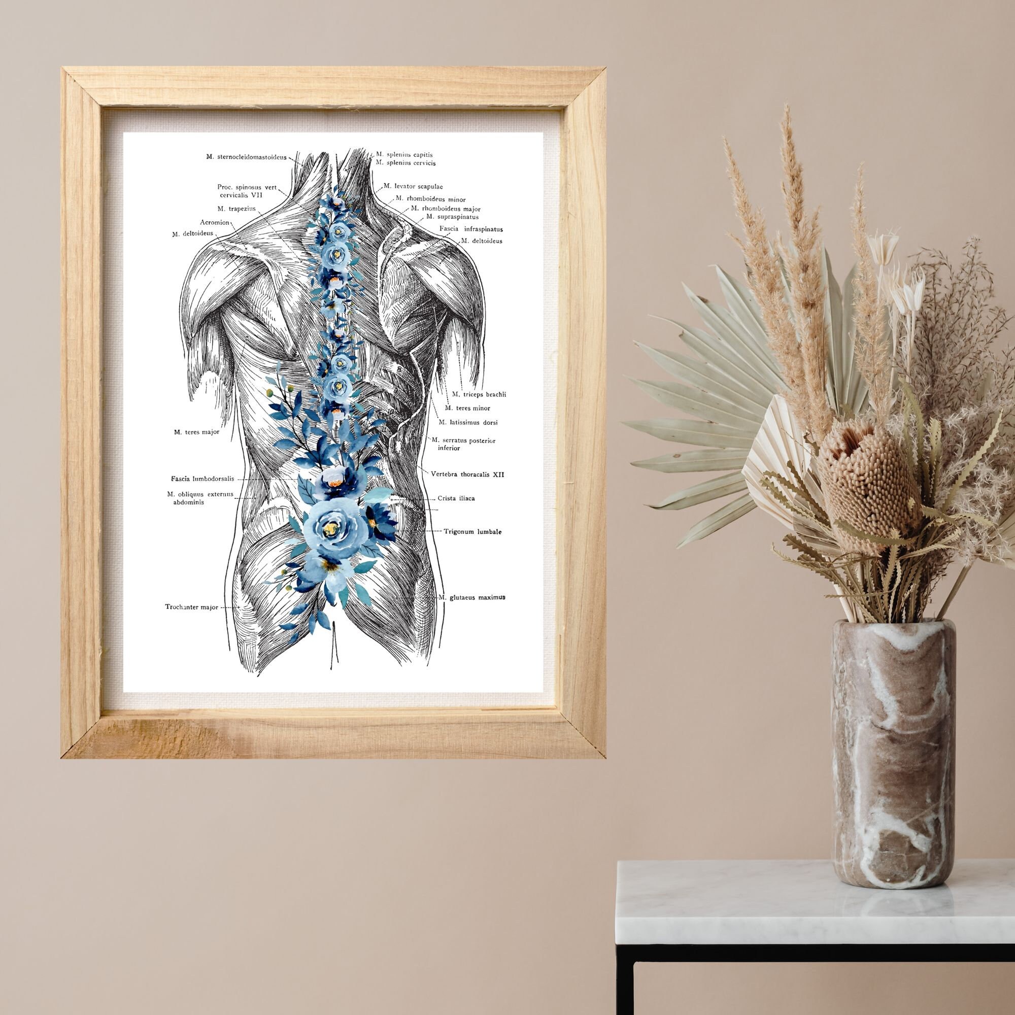 Set of 3 Muscular System Blue-massage Therapy Decor, LMT, Massage ...