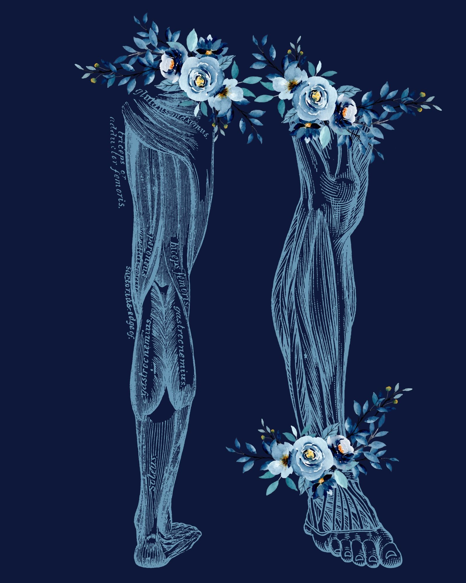 LEGS: Set of 3 Muscular System Art -massage Therapy Decor, LMT, Massage ...