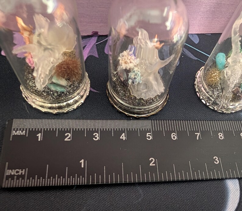 Mini Winter Terrarium: Clear Antlered Stag or Dinosaur Skull Forest ...