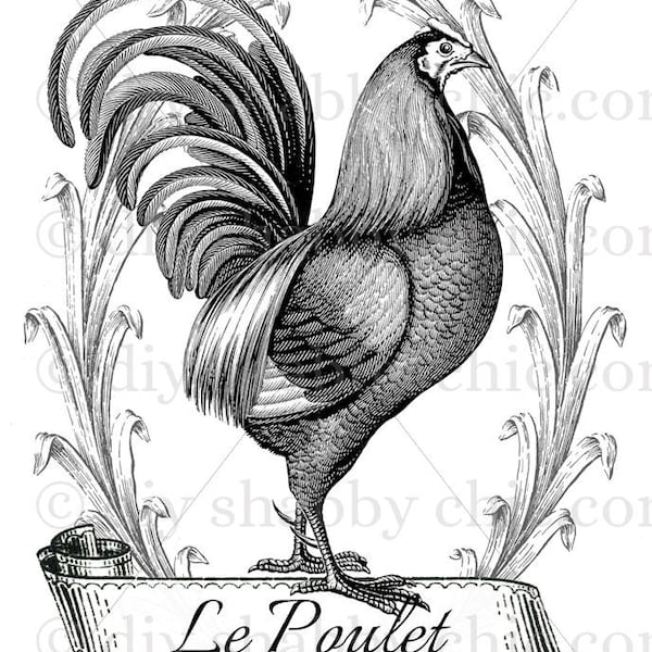 Chicken Transfer - Etsy