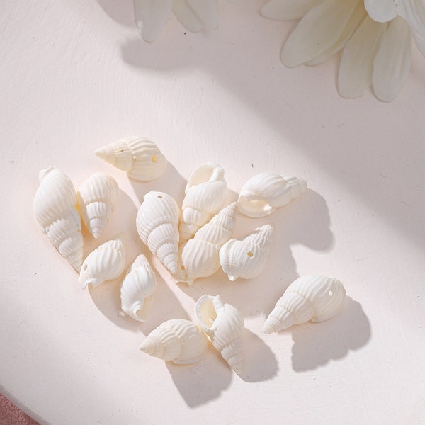 Tiny White Shells - Etsy