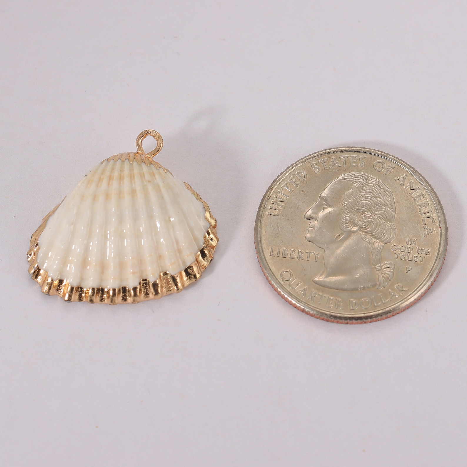 Gold Plated Cowrie Shell Pendants, Natural Seashell Charms (5 Pcs) - Etsy