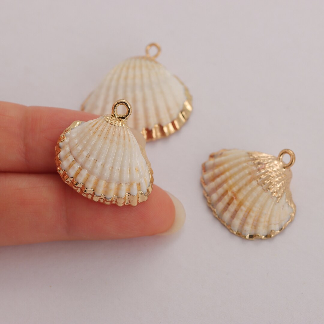 5pcs Natural Sea Shells Cowrie Shell, Gold Plated Seashell Charm, Shell ...