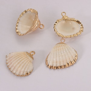 5pcs Natural Sea Shells Cowrie Shell, Gold Plated Seashell Charm, Shell ...