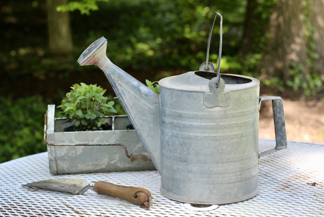 Vintage Galvanized Watering Can 8 Quart Rustic Garden Decor - Etsy