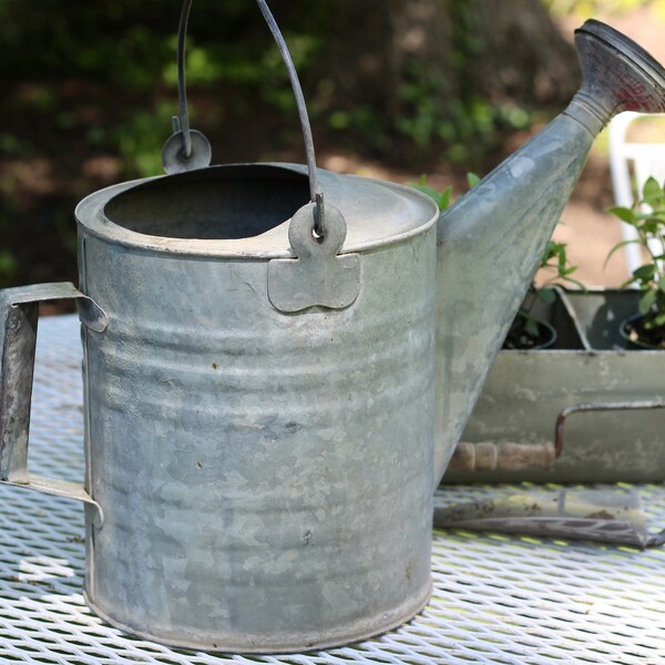Galvanized Watering Can - Etsy