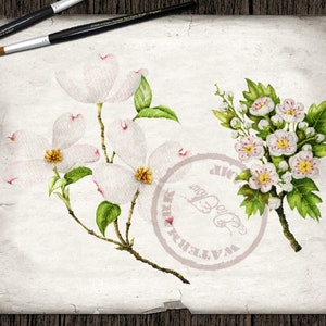 American Watercolor State Flowers Clipart United States America Clip ...