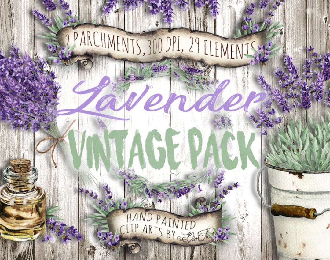Lavender Clipart Watercolor Clipart Vector Lavender Clip Art Parchment ...