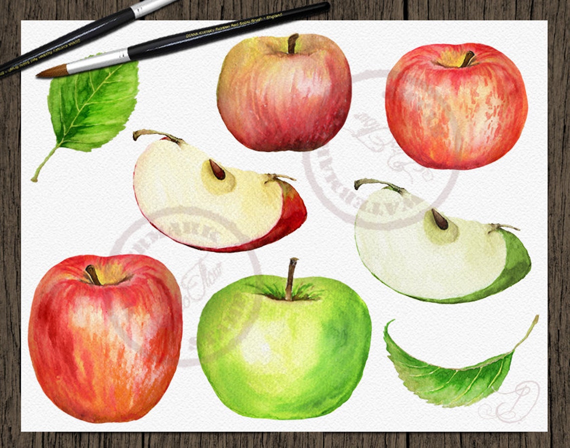 Watercolor Apples Clipart Apple Clip Art Fruits Illustration Decor ...