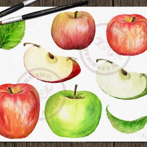 Watercolor Apples Clipart Apple Clip Art Fruits Illustration Decor ...