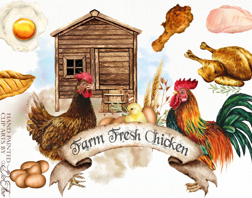 Poultry Farm Clipart Pictures