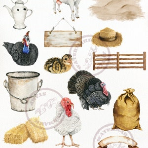 Watercolor Farm Animals Clipart Farmhouse Clip Art Barn Country Animals ...