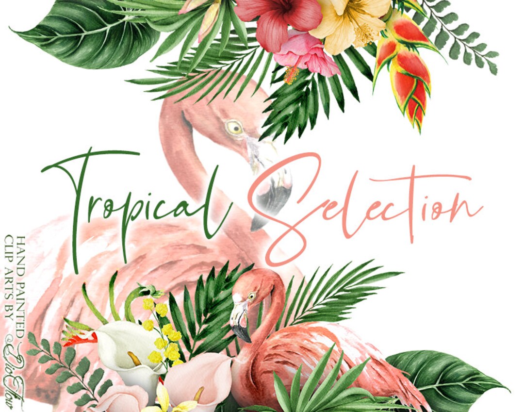 Watercolor Tropical Frames Flamingo Leaves Clipart Clip Orchid Flowers ...
