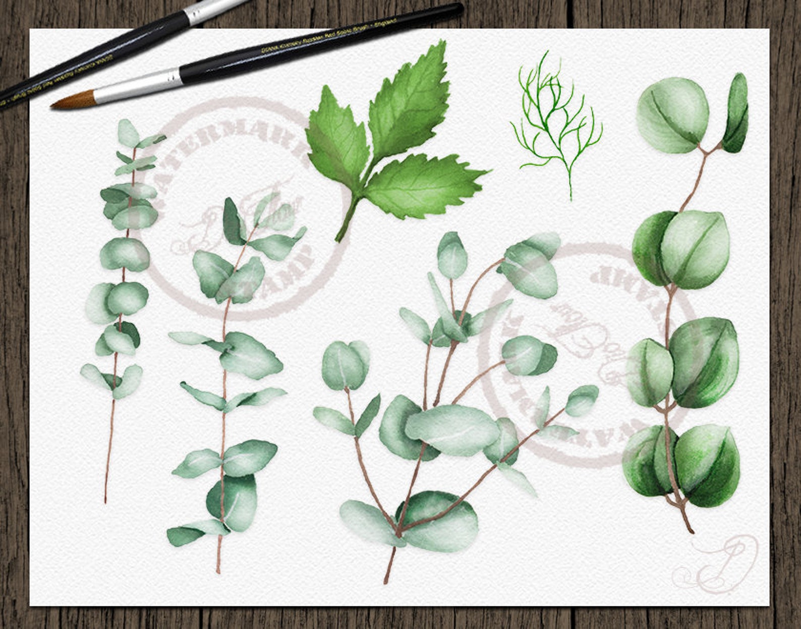Watercolor Greenery Clipart Leaf Clipart Eucalyptus Woodland Clip Art ...