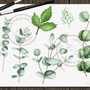 Watercolor Greenery Clipart Leaf Clipart Eucalyptus Woodland Clip Art ...
