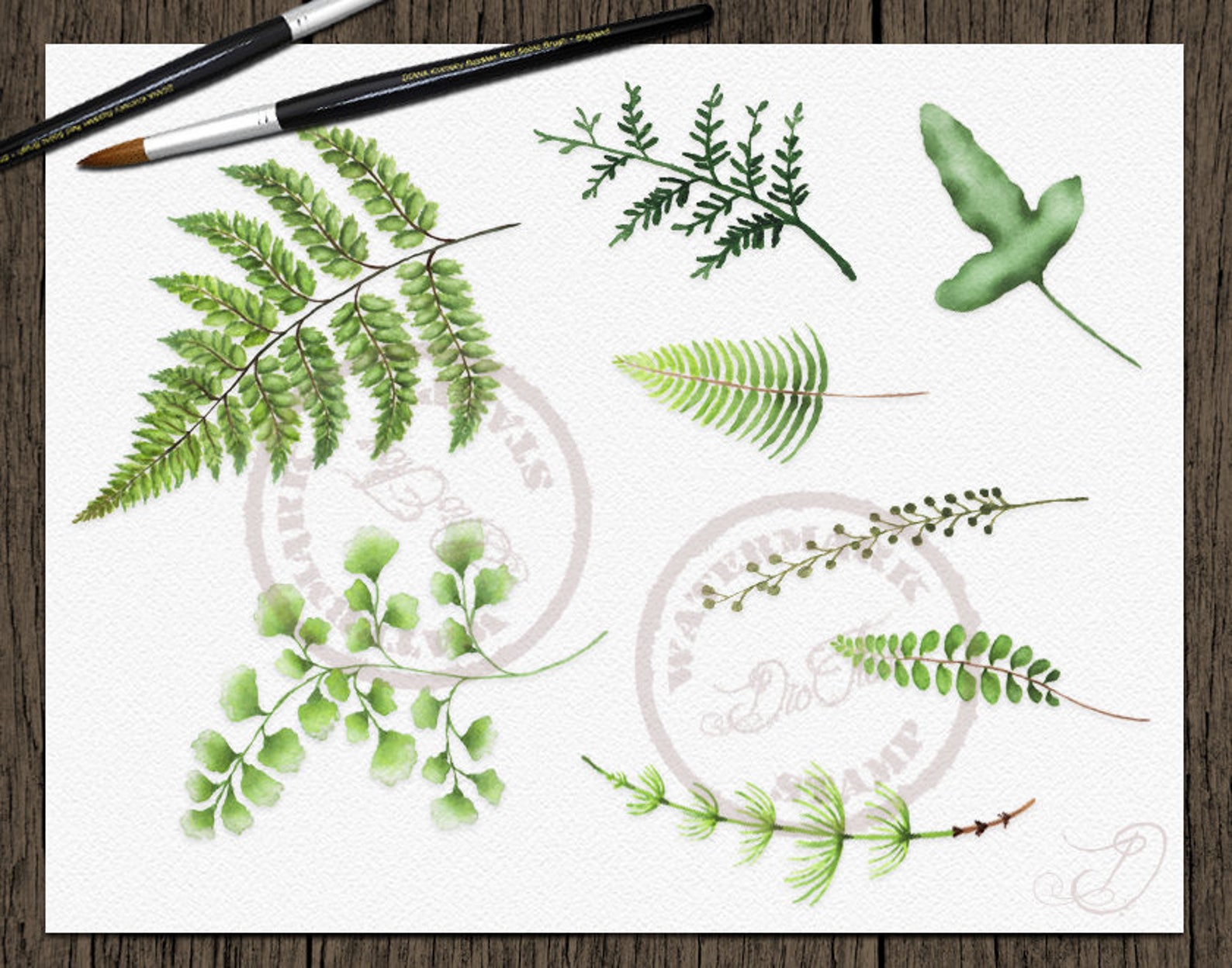 Watercolor Fern Clipart Greenery Clip Art Leaf Leaves Woodland | Etsy