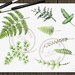 Watercolor Fern Clipart Greenery Clip Art Leaf Leaves Woodland Clipart ...
