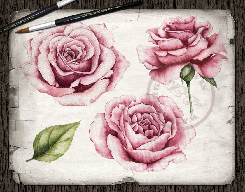 Watercolor Roses Clipart Vintage Rose Pink Clip Art Rose Teapot Clipart ...