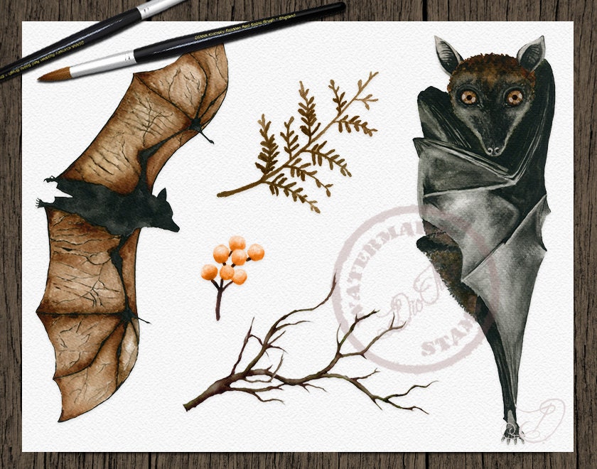 Watercolor Halloween Bat Fall Autumn Bats Pumpkin Clipart - Etsy