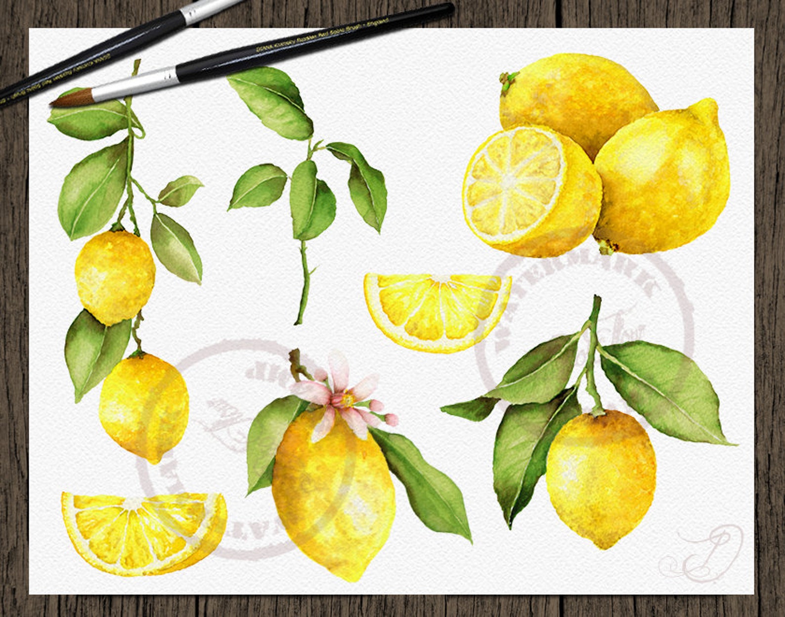 Lemon Clipart Fruit Clipart Lemon Citrus Watercolor Fruits | Etsy