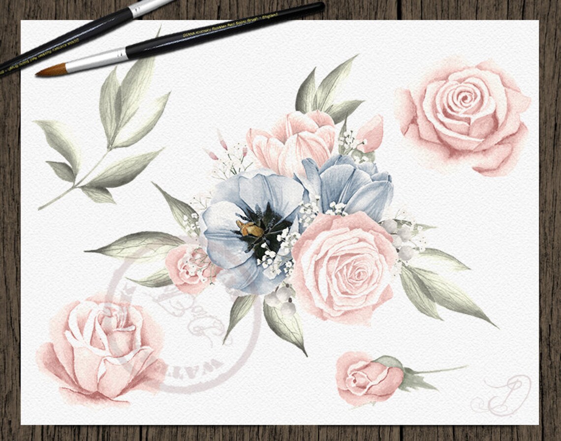 Watercolor Serenity Rose Clipart Roses Tulip Clip Art Rose Quartz ...