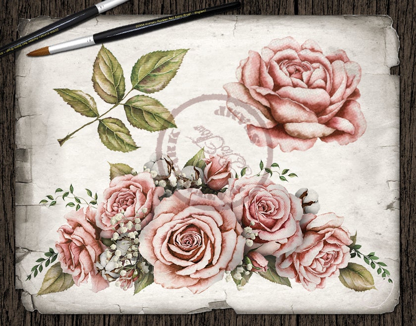Watercolor Roses Cotton Clipart Vintage Rose Pink Blush Clip Art Rose ...