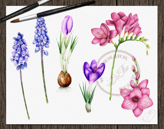 Spring Bulb Planting Clip Art